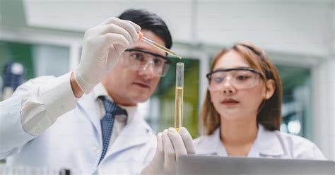 의학 실험실에서 유기 대마초 대마 식물에서 Cbd 오일에 대한 연구를 수행하는 화학 의학 과학자는 건강을 위한 대체 허브 추출물 약물을 만들기 위해 간자 자연 허브를