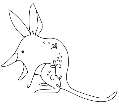 Bilby Coloring Pages Printable Greater Color Realistic Drawing