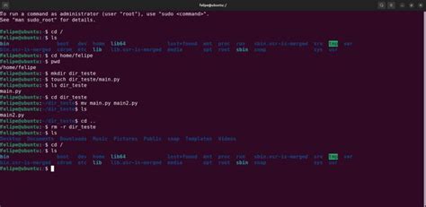 100daysofcode 🐍 Dia 71 Felipe Rodrigues Silva