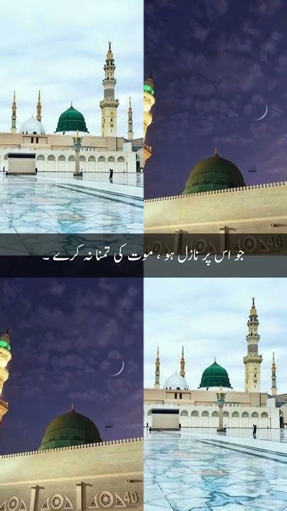 Hadees Shareef Hadith Urdu Islamic Status Youtube