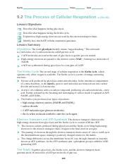 Understanding Cellular Respiration: Glycolysis, Krebs Cycle & ATP ...