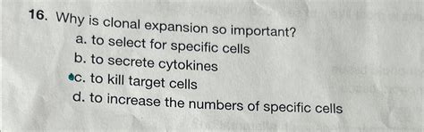 Solved Why Is Clonal Expansion So Importanta ﻿to Select