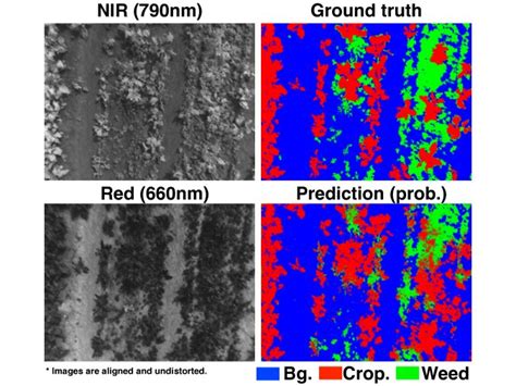 WeedNet Dense Semantic Weed Classification Using Multispectral Images