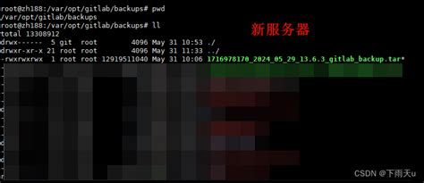 Gitlab服务器迁移（亲测有效）gitlab迁移 Csdn博客