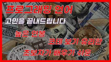 프로그래밍 언어 추천 선택 기준 코딩테스트 Youtube