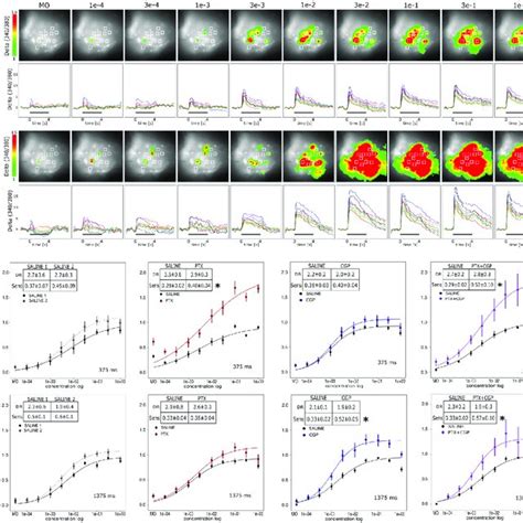 Odor Concentration Signal Function And Gabaergic Gain Modulation A Download Scientific