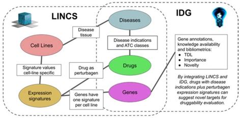 Graph Databases How Relationships Change Everything
