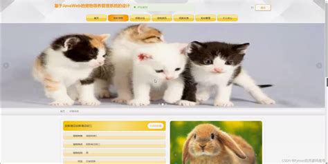 python计算机毕设【附源码】web的宠物领养管理系统的设计与实现（django mysql 论文） csdn博客