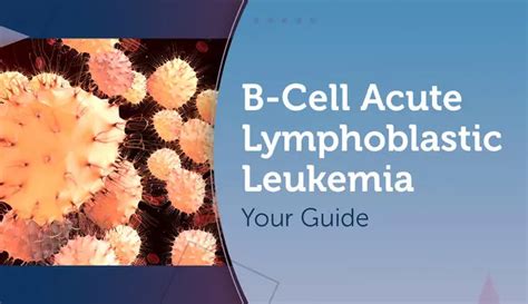 B Cell Acute Lymphoblastic Leukemia Your Guide Myleukemiateam