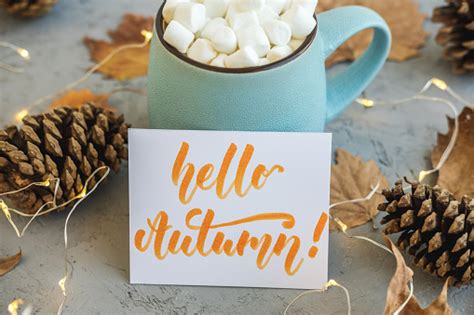 머그컵과 커피 핫 초콜릿 이나 코코아 회색 콘크리트 바탕에 마 시 멜로와 블루 그리고 갈 런 드 마른 나뭇잎 콘 거짓말 서명 안녕하세요가 따뜻한 아늑한가 개념입니다 가을에