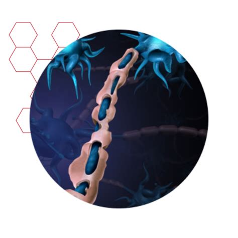 Prodrome Info Prodromeneuro™ Omega 3 Plasmalogen Oil