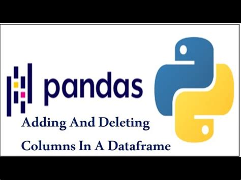 ADD DELETE COLUMNS DATAFRAMES PYTHON PANDAS IP CLASS XII YouTube