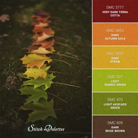 Autumns Rainbow Embroidery Color Palette With Thread Codes