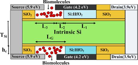 Figure 1 From Reliability And Sensitivity Analysis Of Double Inverted T Nano Cavity Label Free