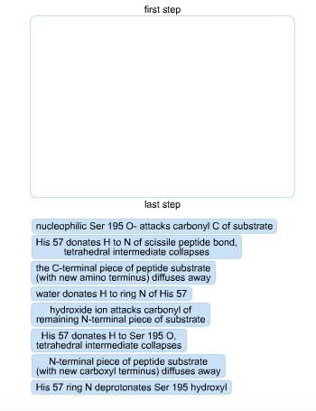 Solved Put The Steps Of The Mechanism Of Chymotrypsin Chegg