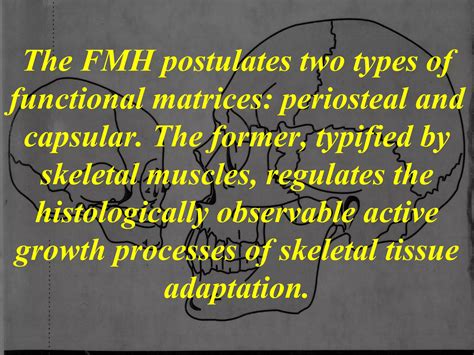 Functional Matrix Theory Ppt