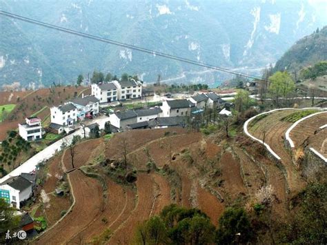 農村土地新政策：以下哪幾種情況下允許對承包地進行調整！ 每日頭條