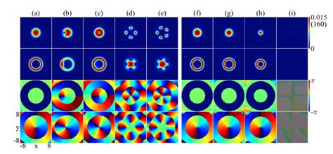Bose Einstein Condensate Topology Manipulating Density And Spin With