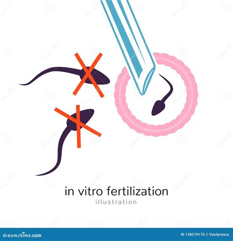 In Vitro Fertilisation Icon Biological Insemination Isolated Medical
