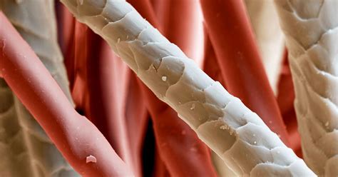 How To Teach Polymers At Post 16 Cpd Article Rsc Education