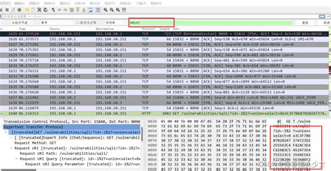 练习流量分析DAY2 zmxh flag pcap CSDN博客