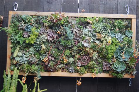 If Walls Could Talk Creating A Living Wall Using Vertical Gardens