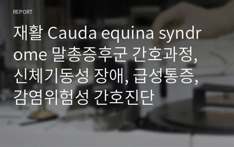 재활 Cauda Equina Syndrome 말총증후군 간호과정 신체기동성 장애 급성통증 감염위험성 간호진단 레포트