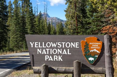 News There Have Been Nearly 100 Earthquakes At Yellowstone In 72 Hours