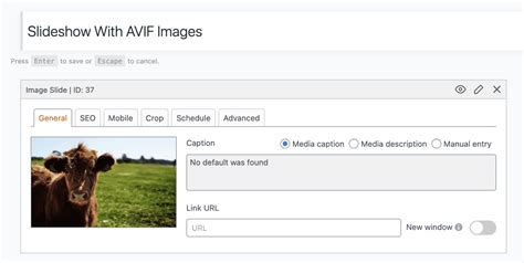 How To Use Avif Images In Wordpress Metaslider