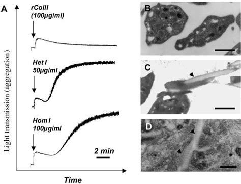 Altered Platelet Aggregation In Response To Recombinant Collagen