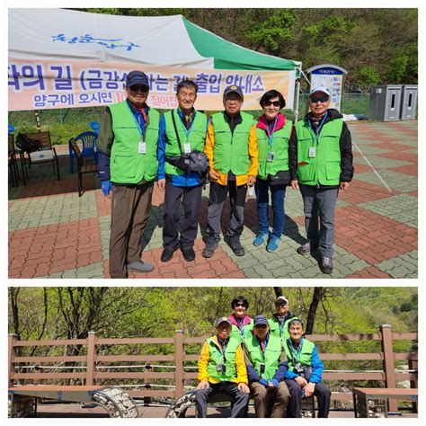 Daum 카페