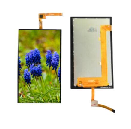 5 Inch IPS Lcd Screen Wholesale 720 X 1280 Resolution With All Viewing Angle Touch Panel MIPI 4