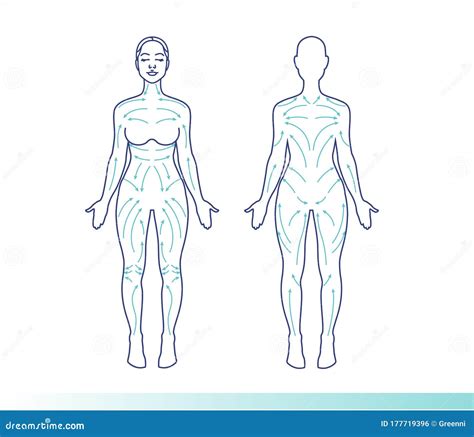 Women Body With Massage Lines Dry Brush Massage Scheme Stock