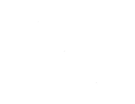 Nullify Branding Behance