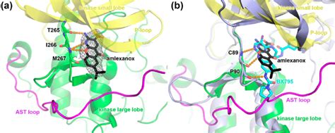 Crystal Structure Of Grk1 Bound To Amlexanox A Amlexanox Stick