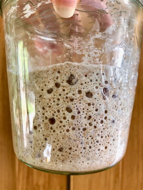 100 Spelt Sourdough Loaf The Simplest Way To Make Sourdough