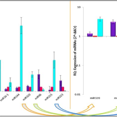 Expression Of Mirnas In Controls And Scd Patients Before And After
