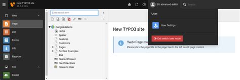 Backend Users Module — Typo3 Explained Main Documentation