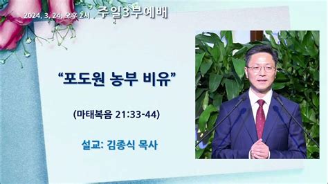 포도원 농부 비유 마태복음 2133 44 매일성경 본문 미담교회 주일 3부 예배 온라인 생중계 김종식 목사 2024년