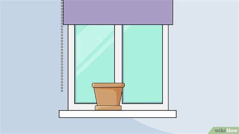 Como Cultivar O Copo De Leite Com Imagens WikiHow