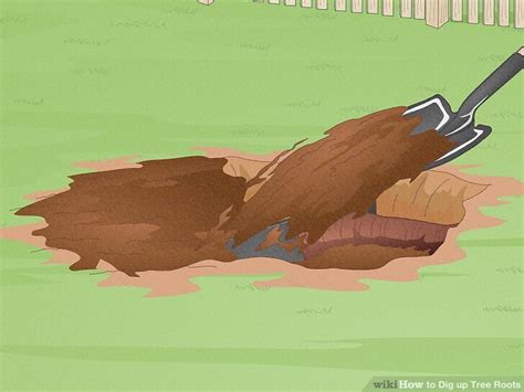 How To Dig Up Tree Roots A Simple DIY Guide