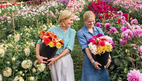 Flora Fields 2025 At Webbs Wychbold Raring2go