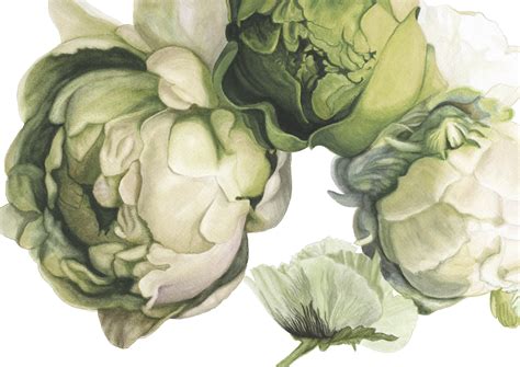 Cindy Pretorius Collection Orms Print Room And Framing