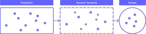 introduction to statistical sampling and resampling towards data science