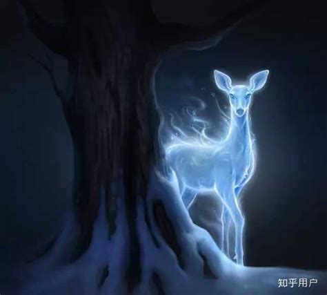 牝鹿守护神图片 牡鹿守护图片 牝鹿 大山谷图库