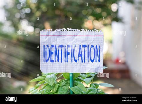 Handwriting Text Identification Conceptual Photo An Action Or Procedure To Identify Someone Or