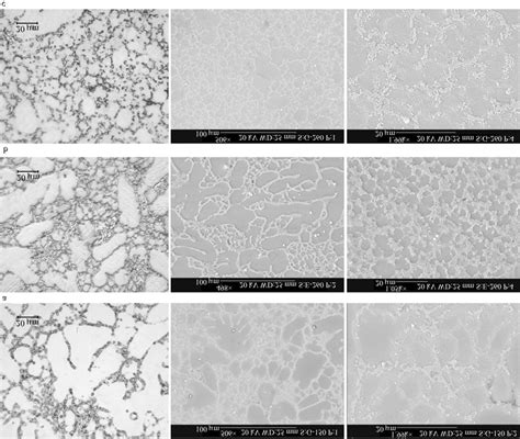 Mo Micrographs And Sem Micrographs Of Sample Heated Up At 30 K Min 1