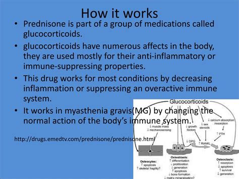 Ppt Prednisone Powerpoint Presentation Free Download Id 1909300