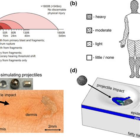 Imaging Cylindrical Projectile Impact A Selected Frames From Download Scientific Diagram