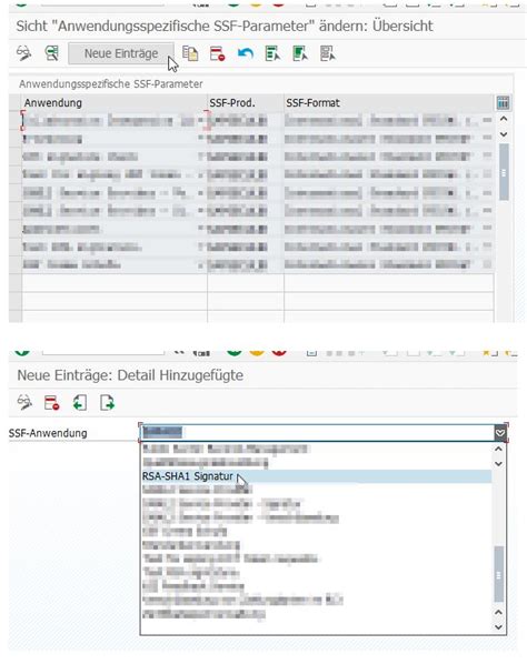 Erweiterte Client Authentifizierung In SAP Wie Generiere Ich In ABAP